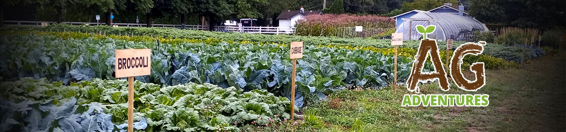 Ag Adventures | BC Agriculture in the Classroom Foundation